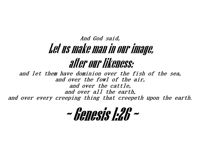 The Christological Interpretation of the Image of God – The Way of Truth