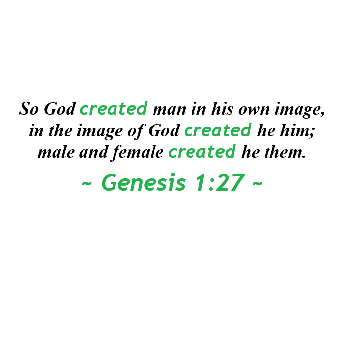 Humanity: God’s Crowning Creation – The Way of Truth