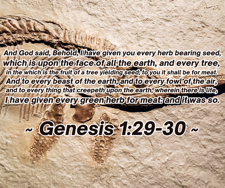 The Pre-Fall Food Chain and the Question of Pre-Fall Death – The Way of ...