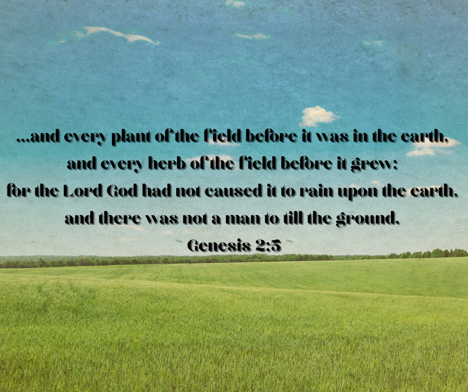Reconciling Genesis 2:5–6 with the Creation Account: Understanding the ...