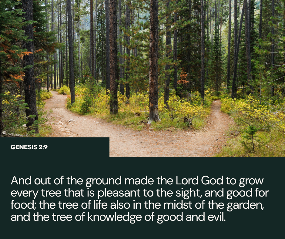 Two Trees, Two Paths: A Biblical Response to Rosicrucian Symbolism in ...