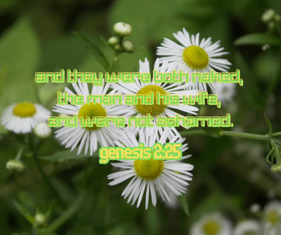Introduction to Genesis 2:25 – The Way of Truth