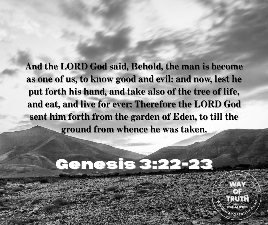 When God Closes the Way: A Devotional on Genesis 3:22–23