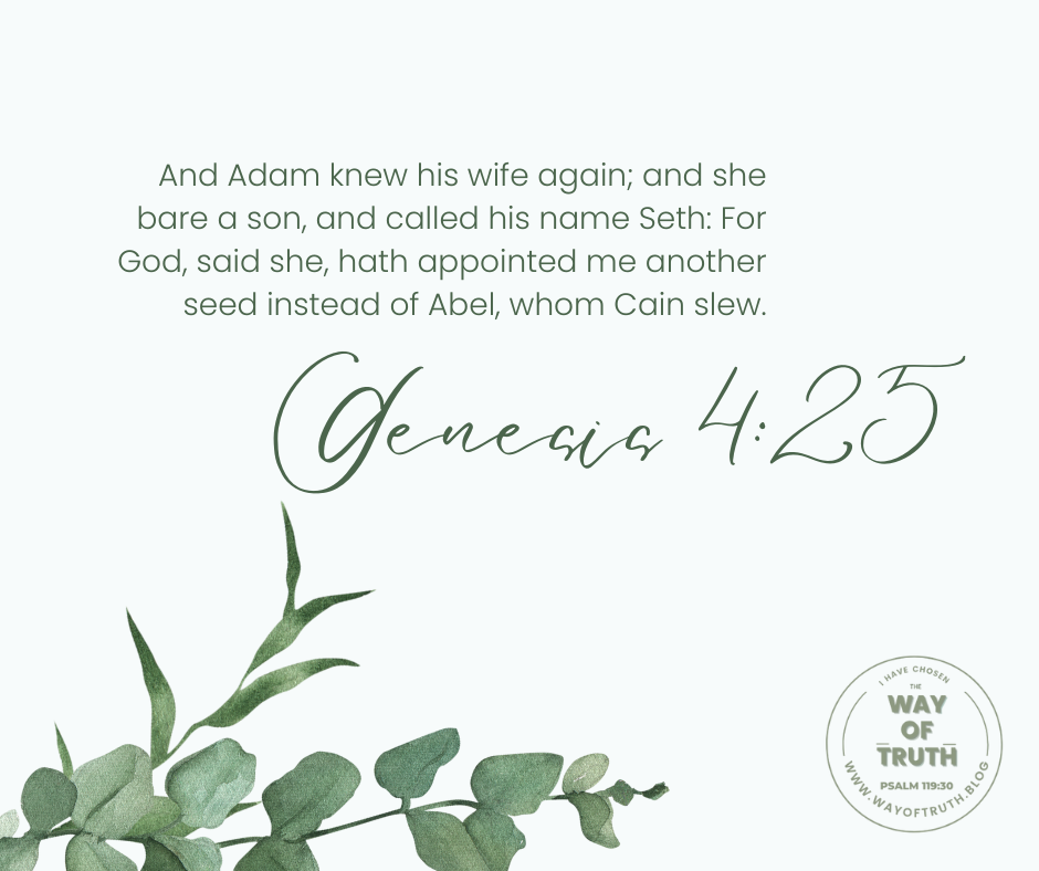 God-Appointed Hope: A Devotional on Genesis 4:25 and New Beginnings